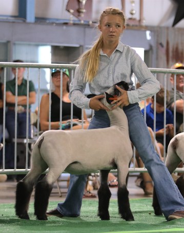 The Spring Spectacle: Preparing for Show Season – FlexTran Animal Care