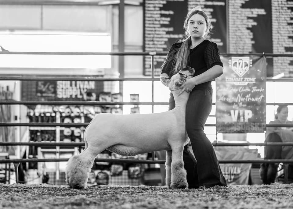 Educational Resources and Clinics: A Showman’s Guide to Improving Your ...