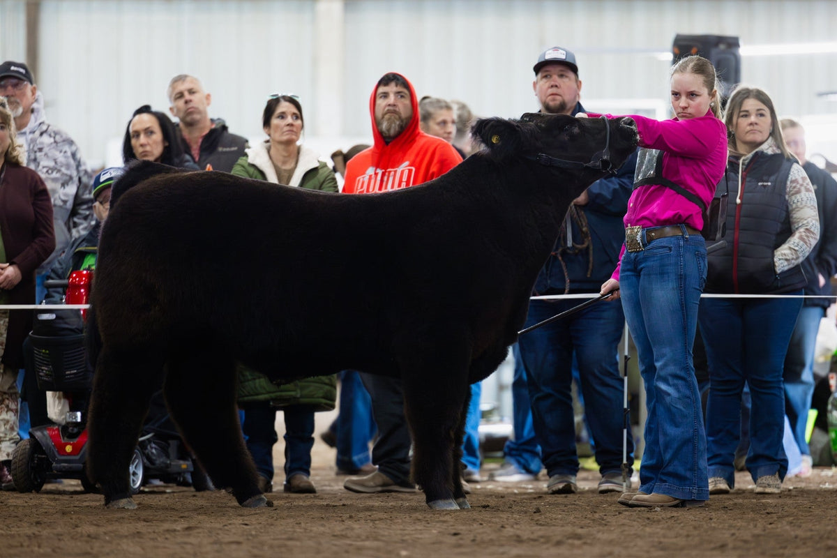 Spring Pollen & Allergies: Keeping Your Livestock's Coat in Show Ring ...