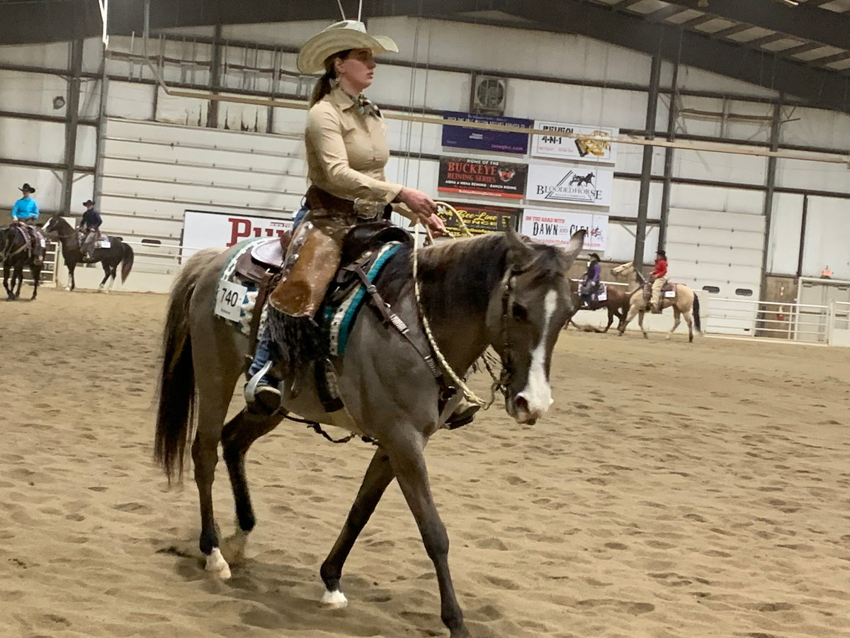 Mastering Equine Showmanship: A Guide to Success in the Arena ...