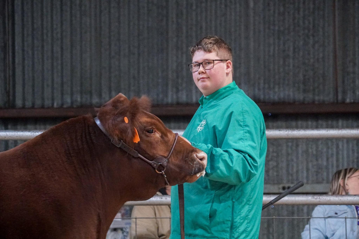 How to Ensure Peak Physical Condition for Livestock Competition ...