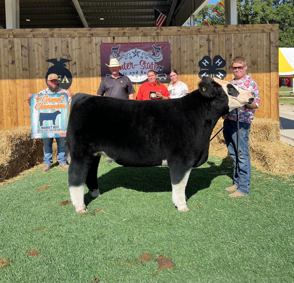 Unlock Your Potential: 8 Top Opportunities for Livestock Showmen to Sh ...