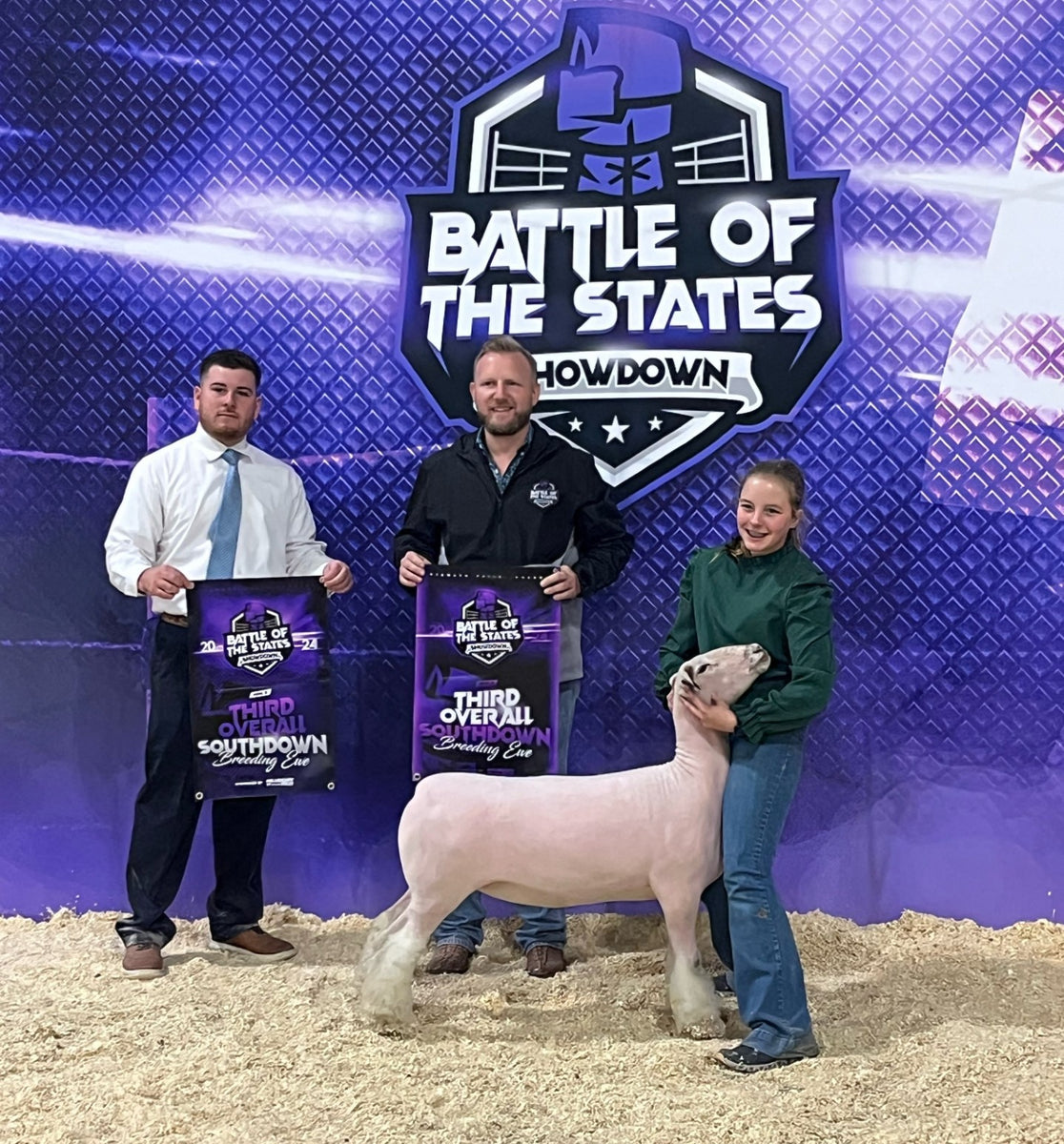 The Best Exercises to Build Muscle and Stamina in Show Animals ...