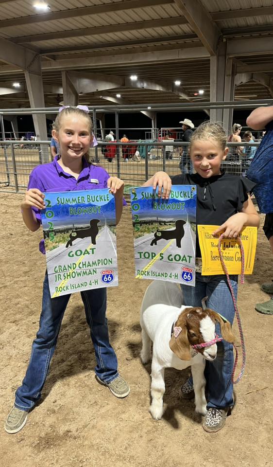 Goat Showmanship: Preparing for the Unexpected Questions – FlexTran ...