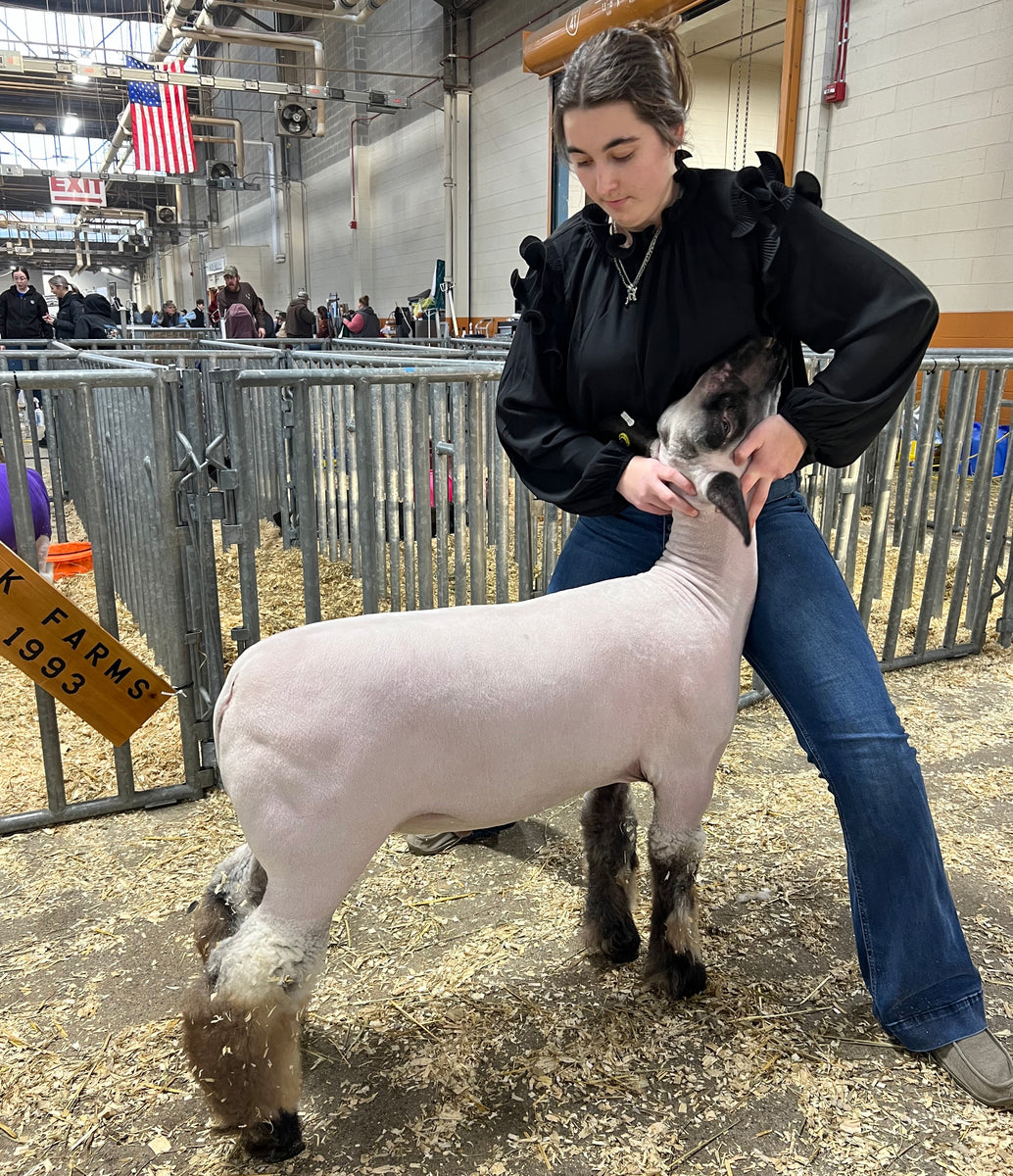 Elevating Your Lamb's Fur Boots: Tips for Enhancing Presentation in Li ...