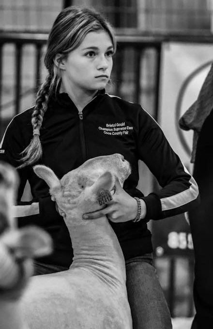 How to Peak Your Animal for a June/July Show: Timing, Tips & Strategy ...