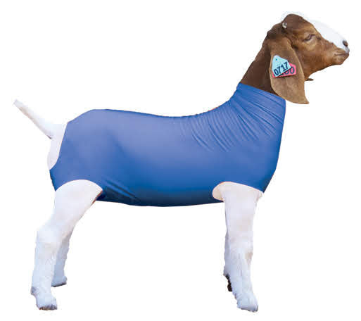 Show Pro Blue Goat Spandex Tube – FlexTran Animal Care