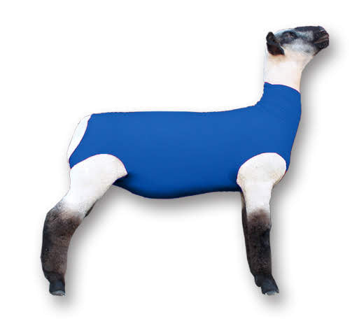 Show Pro Blue Sheep & Lamb Spandex Tube – FlexTran Animal Care